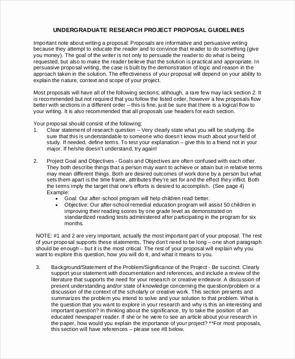 25 Art Project Proposal Example Business Template Example